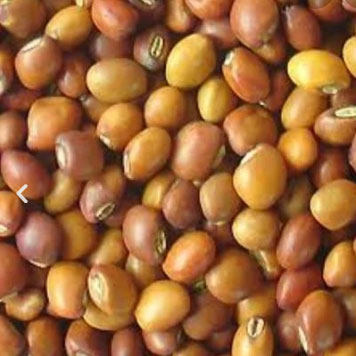 Afreen Elite Services